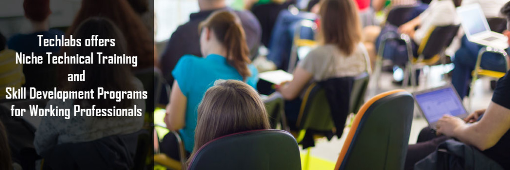 Professional Courses | Techlabs